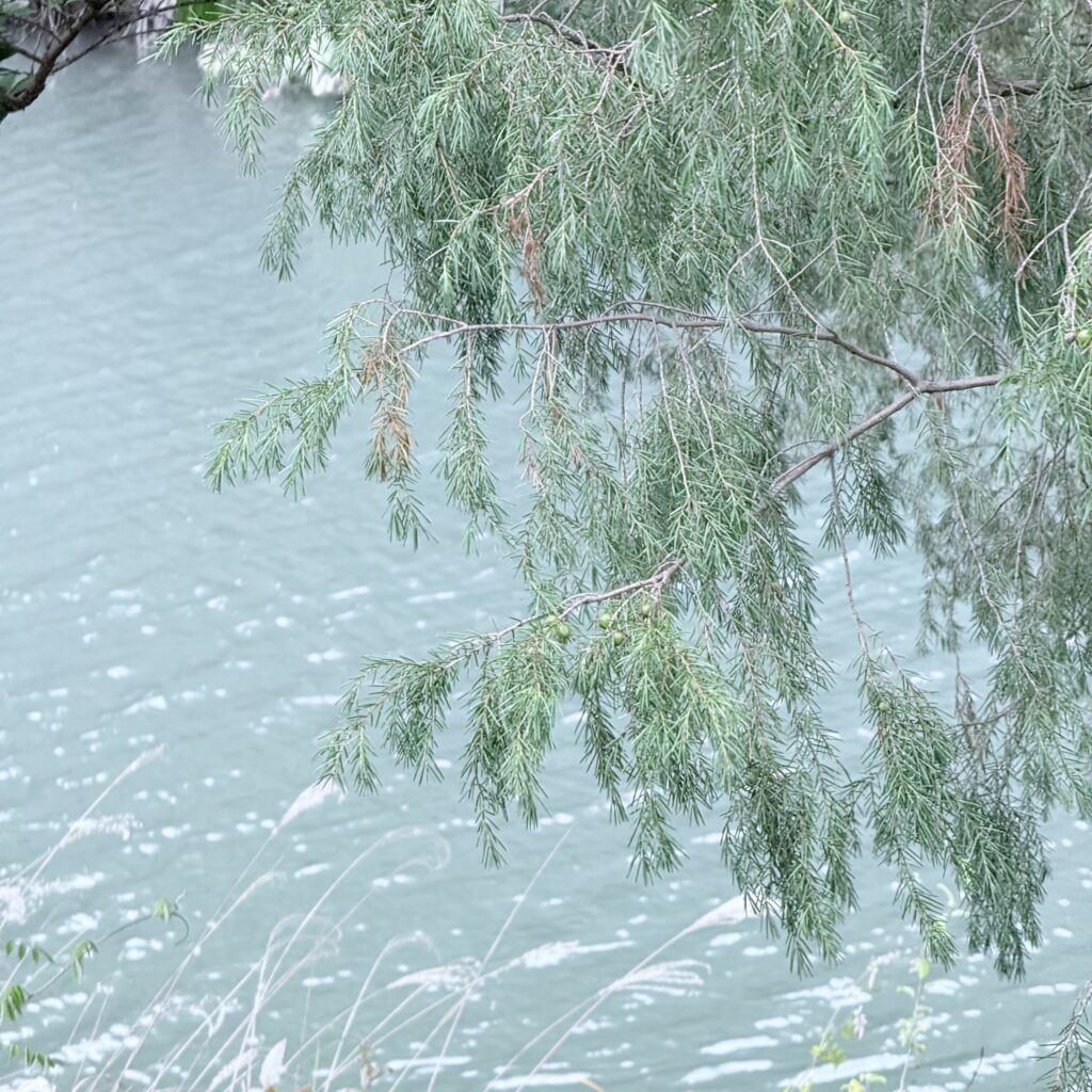 iPad Pro（M4）用Magic Keyboardレビュー｜価格は高い。でも満足度も高い純正キーボード